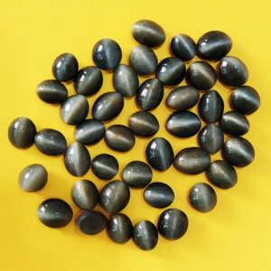 Lochan Astrology & Vaastu Services | Sarva Jyotish